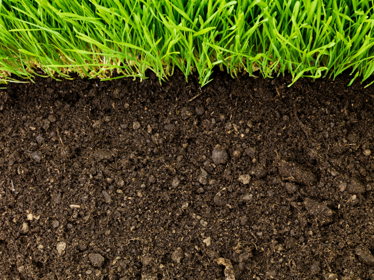 Sod Installation | Cambridge, Princeton & North Branch, MN | TM Home ...